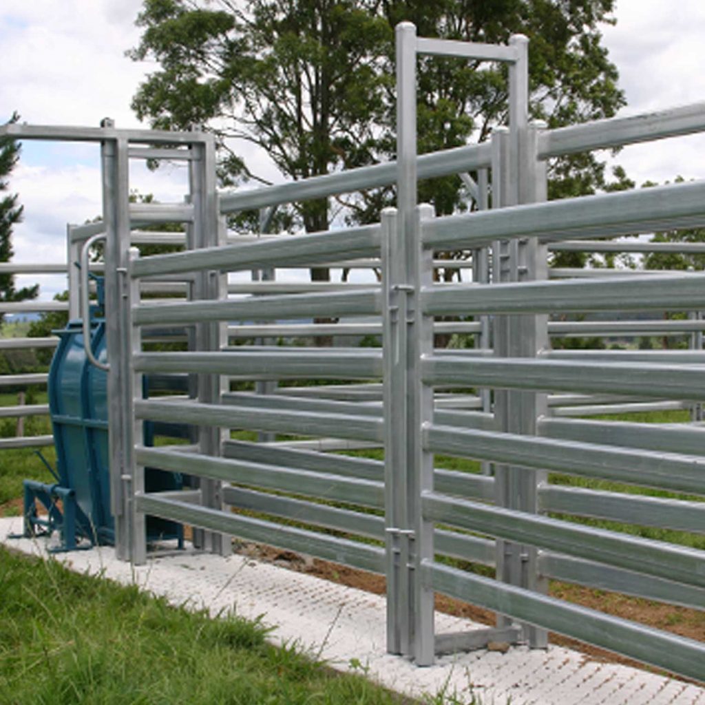 Cattle Equipment Archives - Cavalier Livestock Equipment