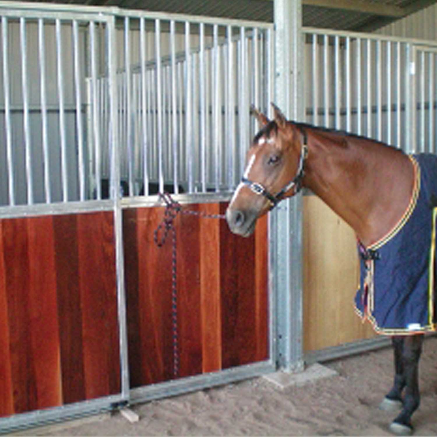 Horse Equipment - Cavalier Livestock Equipment