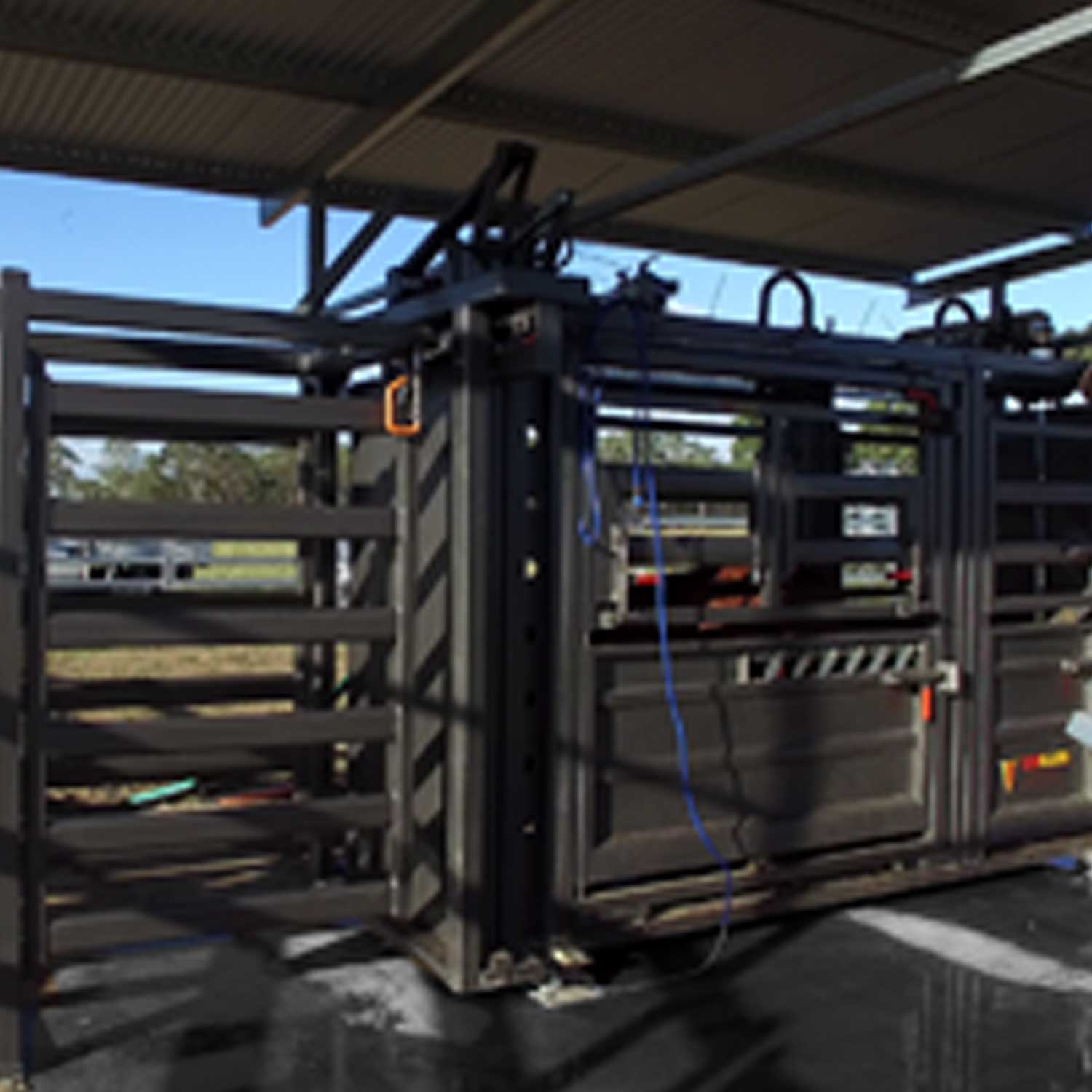 Cattle Equipment Archives - Cavalier Livestock Equipment