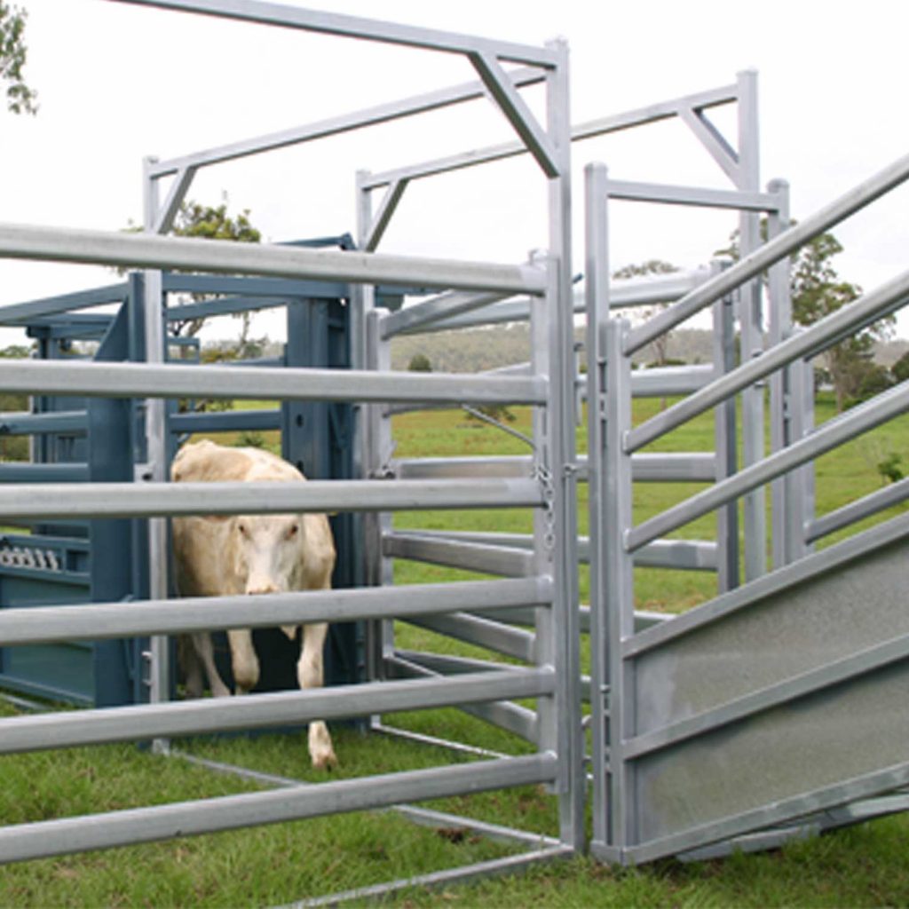 Cattle Equipment Archives - Cavalier Livestock Equipment