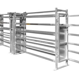 Calf Handling & Calf Cradle Equipment For Sale - Cavalier Livestock ...