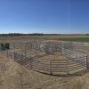Cattle Yards For Sale - Permanent Cattle Yards, Semi Permanent Cattle ...