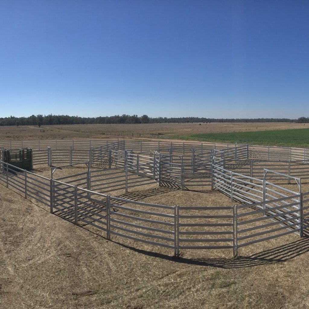 Cattle Yards For Sale - Permanent Cattle Yards, Semi Permanent Cattle ...