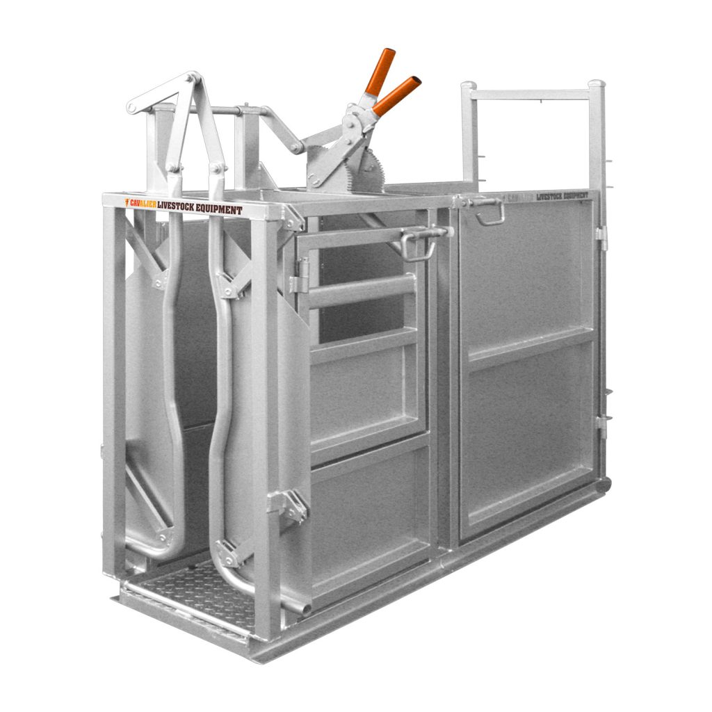 Calf Handling - Cavalier Livestock Equipment