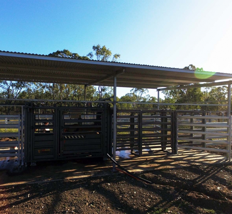 Home - Cavalier Livestock Equipment
